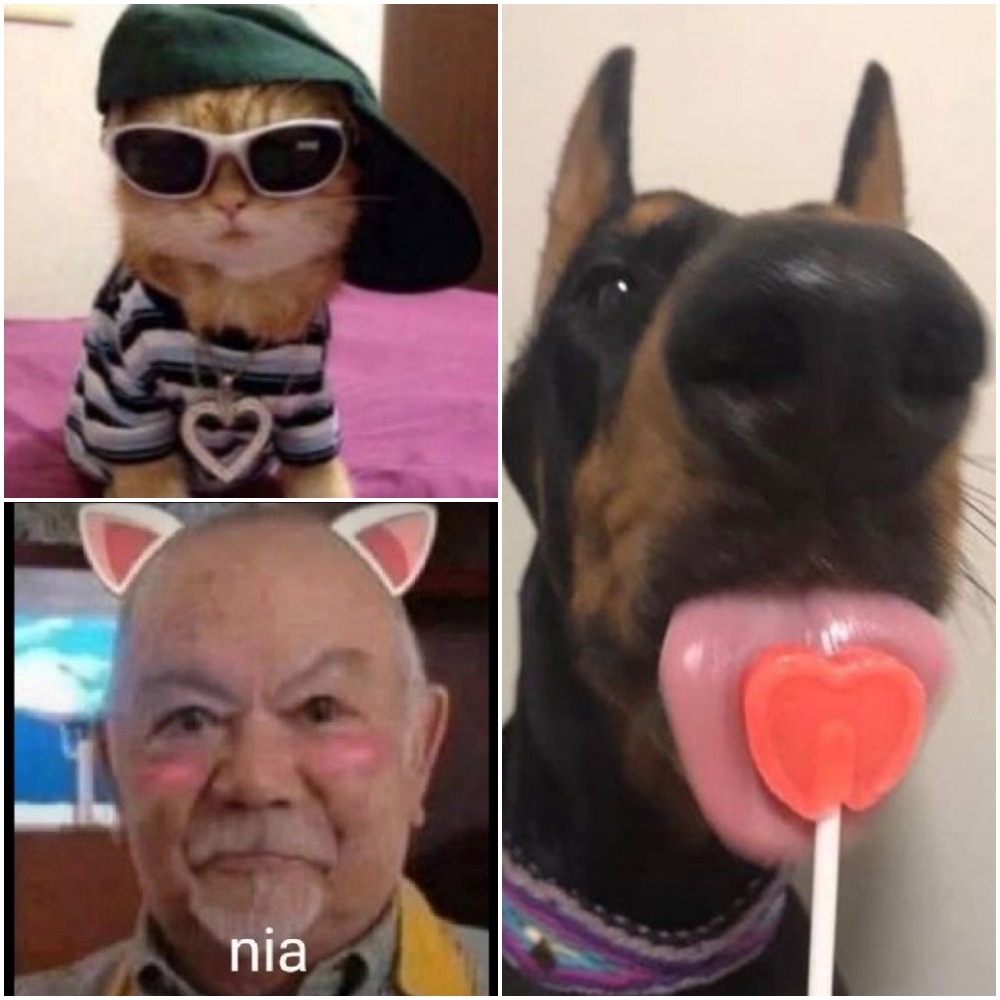 Photo Collage Made With PhotoJoiner.com